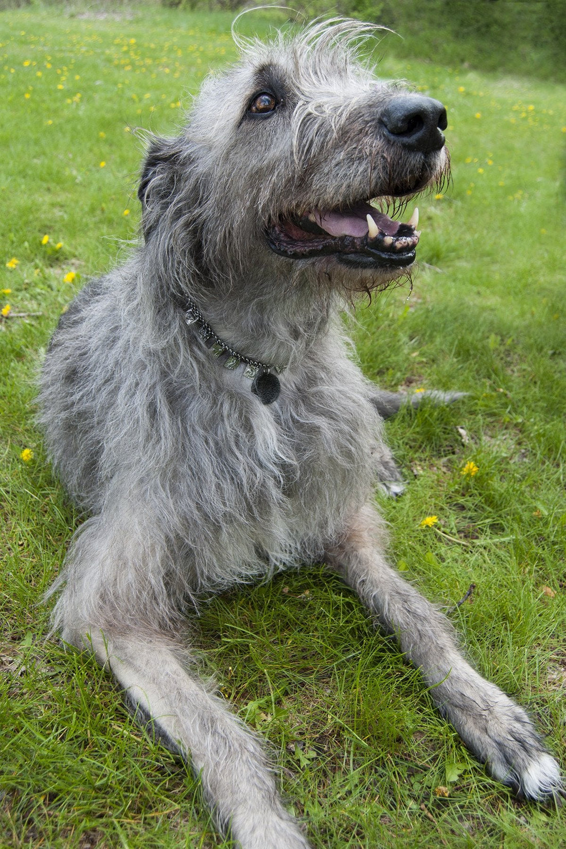 Worldbuilders Market